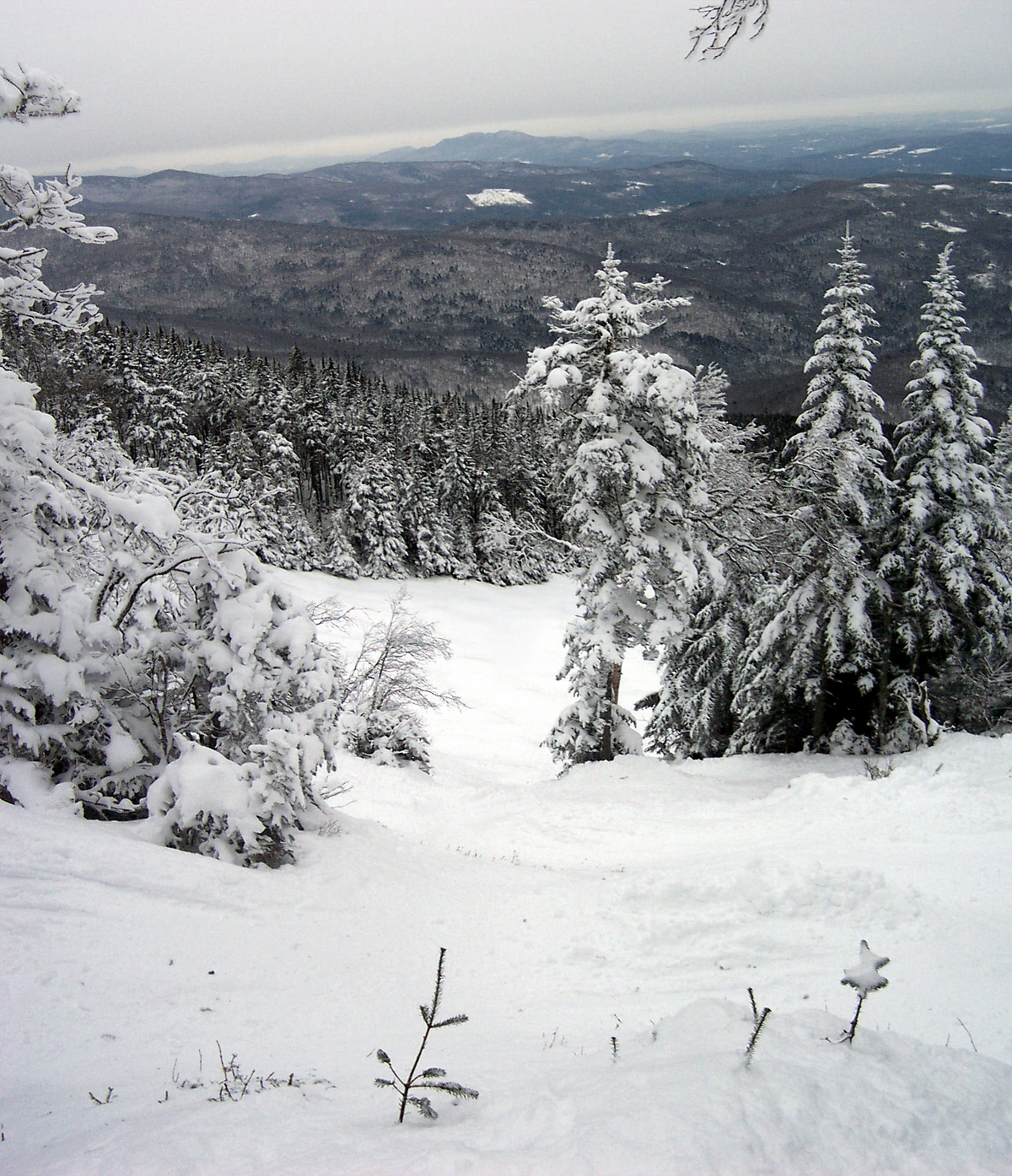 Mad River Glen, VT – thesnowway.com